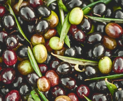 All about olive varieties | Fragata UK